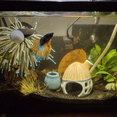 Aquarium Decoration Betta Fish Cave Large Aquarium Decor - Etsy