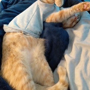 Premium Cat House is Made From Recyclable Cardboard Cubes With a Scratch Panel and Punch of ...