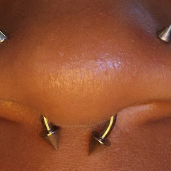 Implant Grade Titanium Threadless Spike Push in Top 3mm 4mm Tragus Nose ...