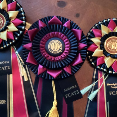 AKC Virtual Rally Title Ribbon Rosette Novice Intermediate - Etsy UK