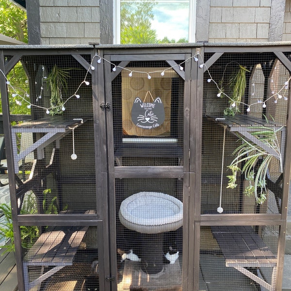 Funny Cat Sign, Cat Lovers Decor, Crazy Cat Lady, Funny Cat Quote, Wood ...