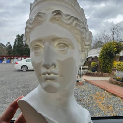 Fitted Bellus3d 3d Printed Masks - Etsy