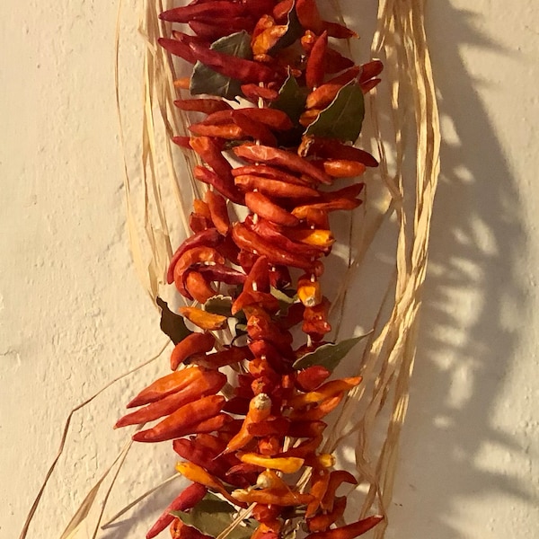 Chilli Peppers Garland - Kitchen Decoration - Etsy