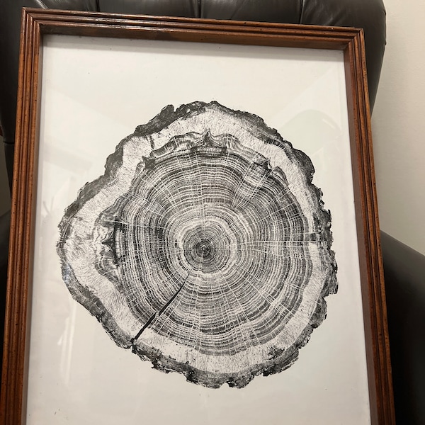 TREE RING ART Print, Tree Ring Print, Set of 6 Prints, Log Print Tree ...