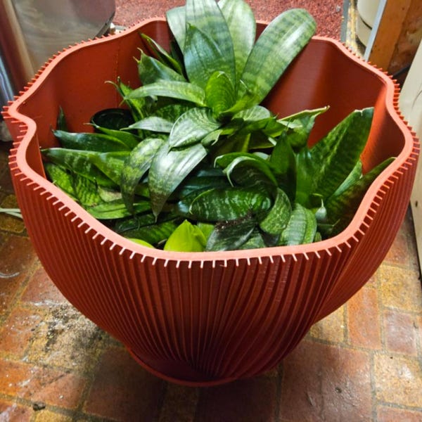 Planter Pot With Drainage, Candy Pink Bubble Design for Small and Large ...
