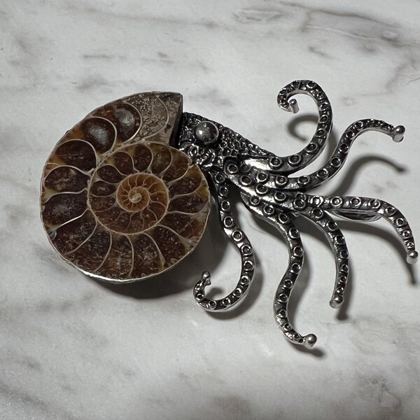 Ammonite Disc Fossil Conch Specimen+free Stand，spiral Shell Fossil ...