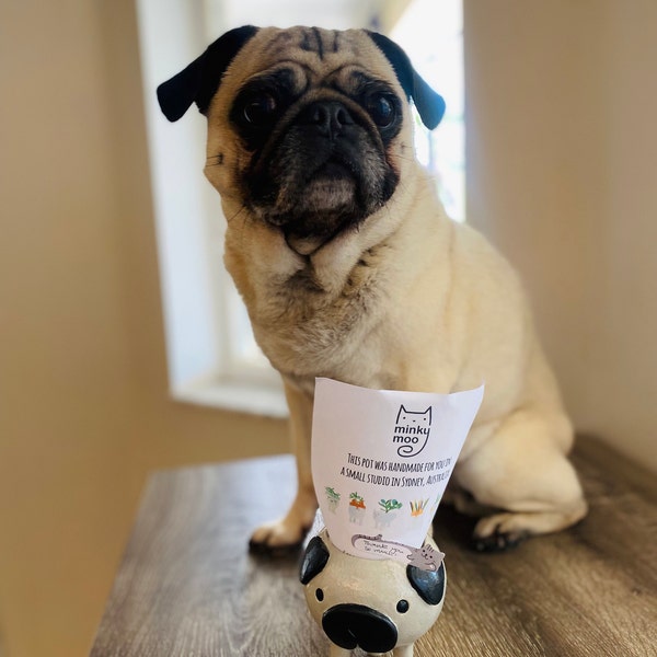Pug Planter, Dog Plant Pot, Succulent Pot, Ceramic Pug Pot - Etsy