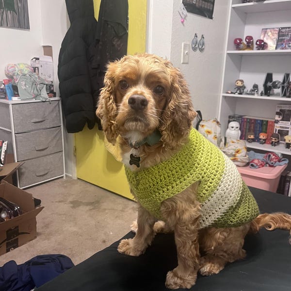 Ledger Sweater CROCHET Pattern - Beginner Friendly Sweater for Dogs in ...