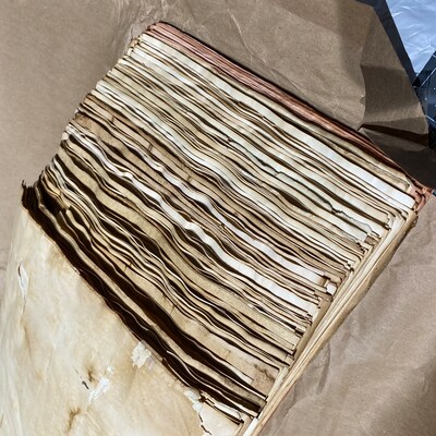 12 Sheets Variety CABBAGE Dyed Lace Paper Pack 1, Handmade, Coffee ...