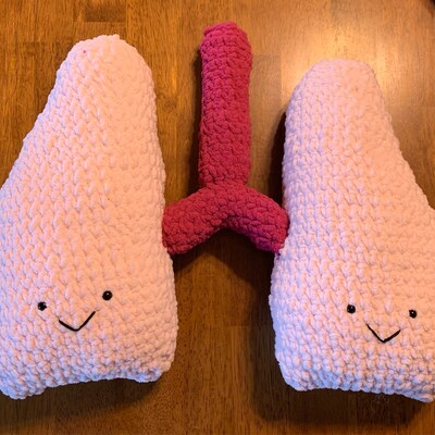 11 Crochet Organs Patterns EBOOK PDF Amigurumi Heart Liver Kidney Brain ...