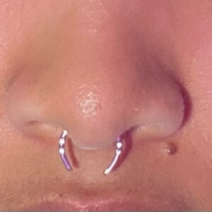 Septum Ring 14K Gold Buffalo Horn Septum Horseshoe 16g 14g | Etsy