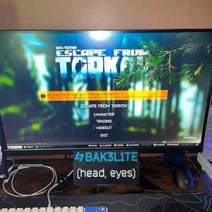 Escape From Tarkov Death Shadow Mask High-detail, Wearable Cosplay ...