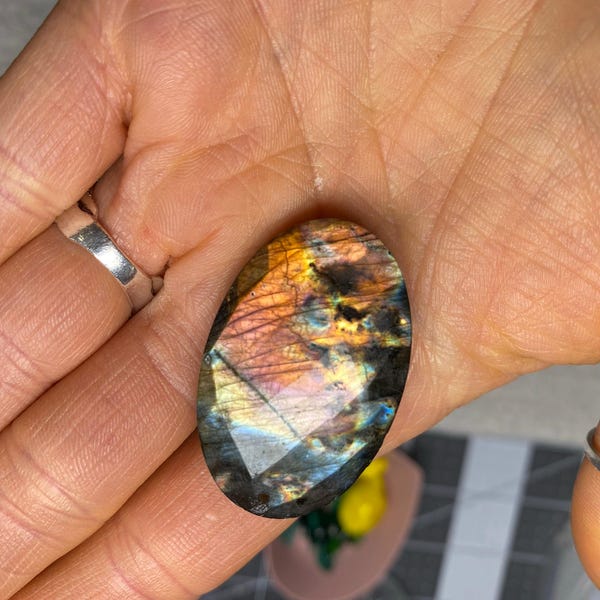 AAA White Scallop Shells With Hole: Jewelry Making, Beach Decor - Etsy