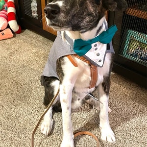 Pet Neck Scarf Dog Neck Warmer Puppy Scarf Winter Dog Scarf - Etsy