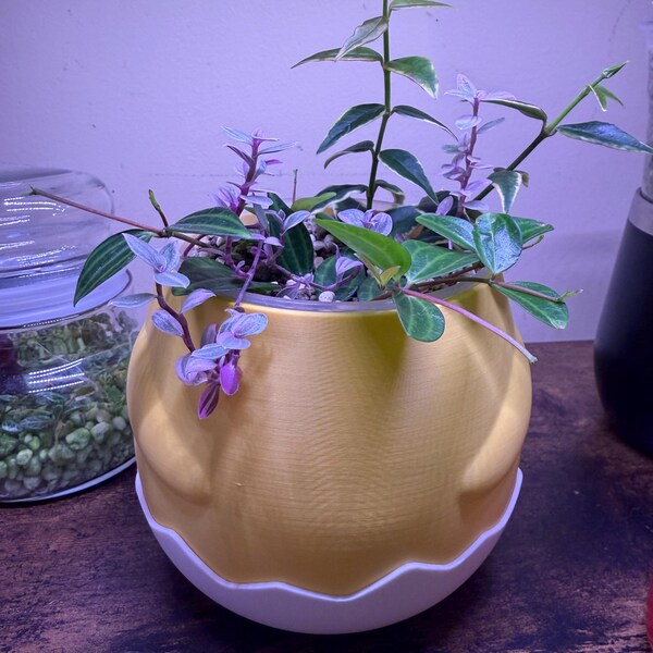 Sitting Chick Plant Pot Cute Animal Planter Minimalistic Decor 3D ...