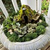 Mini Garden Stone Cottage, Garden Decor - Etsy