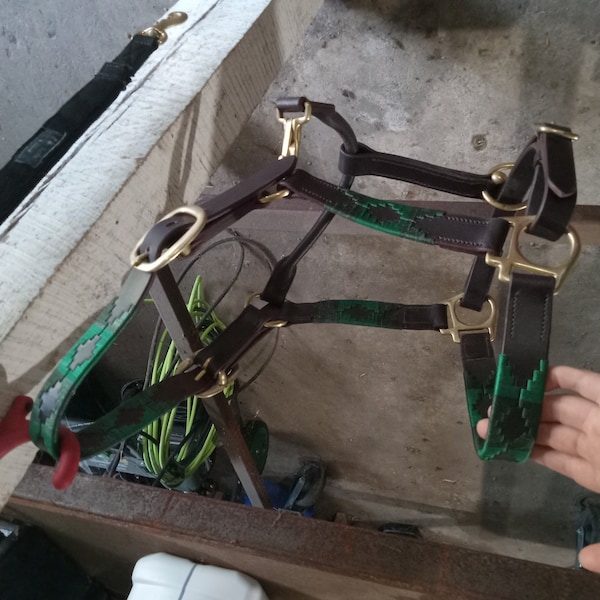 Anatomical Padded Leather Halter - Etsy