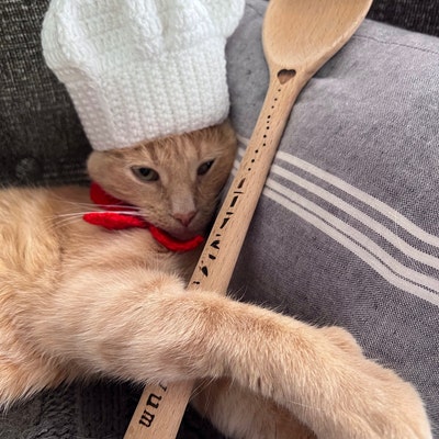 Chef Hat for Cat, Chef Pet Costume, Halloween Kitten Outfit, Gift for ...