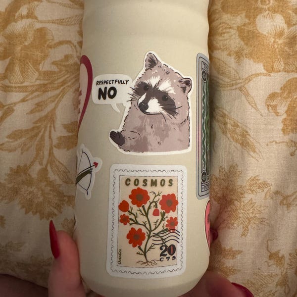 Raccoon Respectfully No | Sarcasm Funny Raccoon Sticker | Gifts Under ...