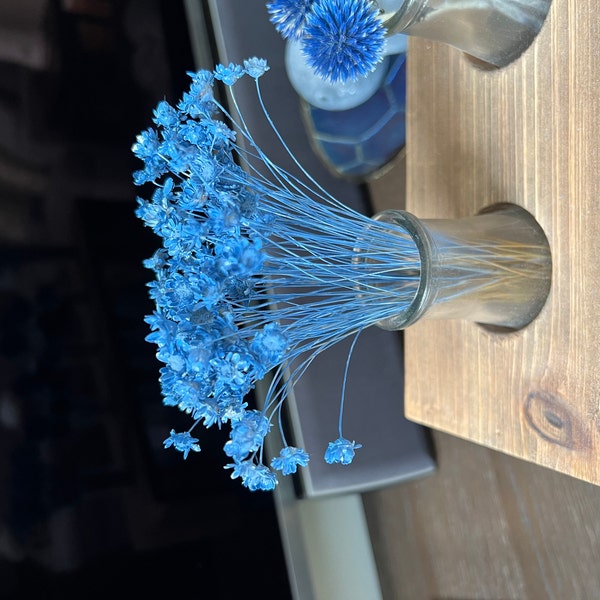 New Color Combination Periwinkle, Cobalt Blue and Lavender Star Flowers ...