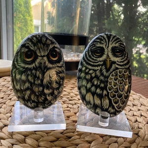 Extra Large Smooth Rocks 10, Beach Stones, Nature Crafts, Rocks for ...