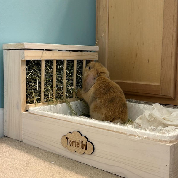 Large Hay Feeder and Litter Box for Giant Flanders Rabbit. Giant Rabbit ...