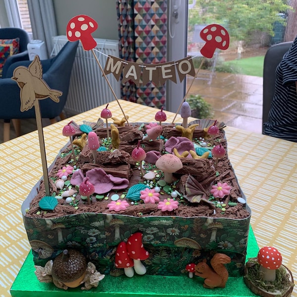 Edible Toadstools/cake Toppers. - Etsy