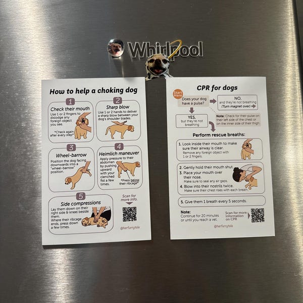 Dog Choking First Aid Magnet: Safety Maneuvers & Demo - Etsy