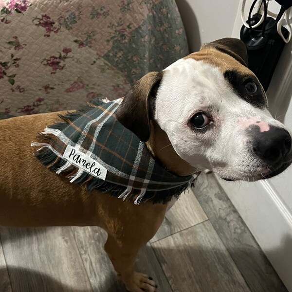 Daisy Garland Crochet Flower Bunner Kids Art Display Daisy Wall Decor ...