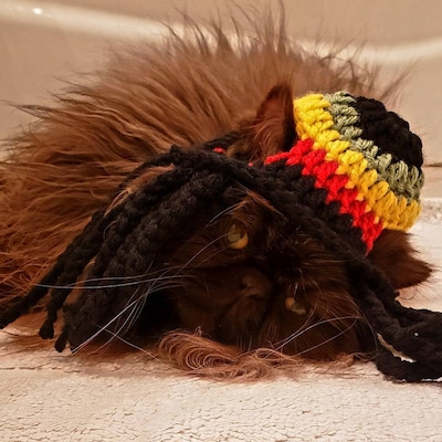 Rasta Hat for Cats - Etsy