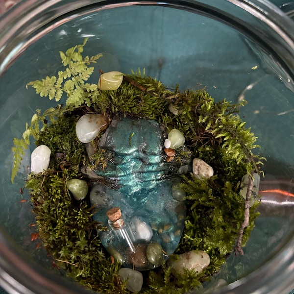 DIY Terrarium Kit + Resin Slate Waterfall, Waterscape Pond, 1/2 Gal ...