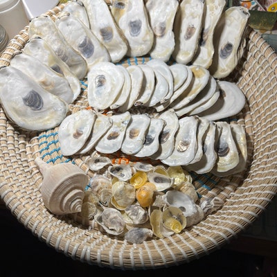 Blue Abalone Shell Table Runner. Abalone Shells Garland. - Etsy