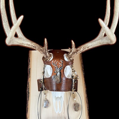 Dark Perfect 8pt Whitetail Antler Horn Deer Fake Skull Mount Taxidermy ...