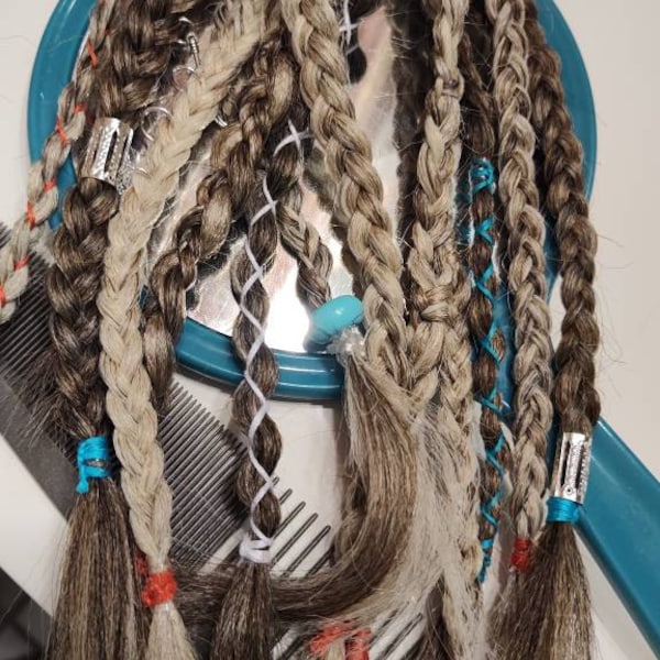 Assorted Braids With Viking Dreadlocks and Coral and Turquoise Accents ...