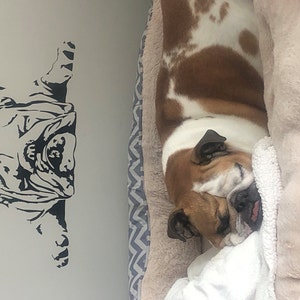 Zebra Rabbit Giraffe Lion Nursery Wall Decal Room Decor Vinyl - Etsy