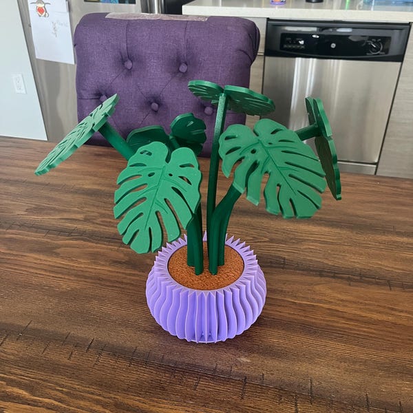 Fiddle Leaf Fig Tree Coaster Plant - Desk Toy or Coffee Table Piece - Etsy