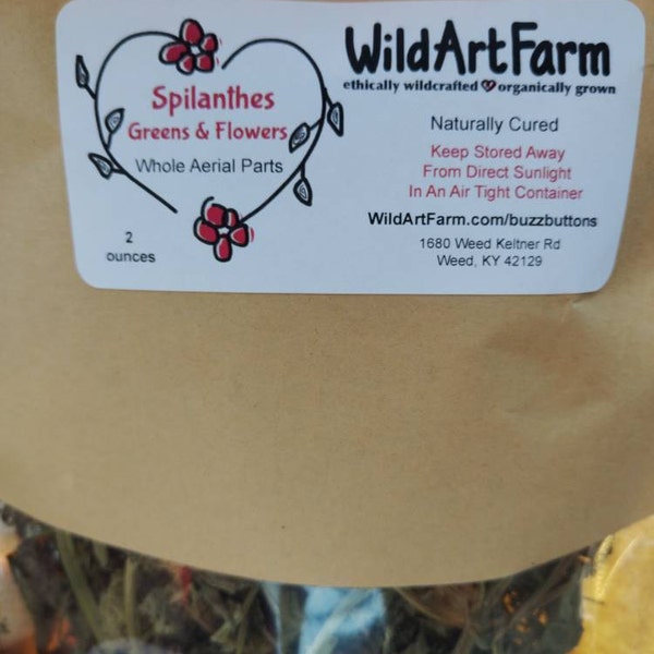 Holiday Spilanthes Buzz Button Flowers - Tingle Bells & Electric Love ...