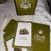 Cannabis Oracle Major Arcana Marijuana Tarot Tarot Deck Fortune Telling ...