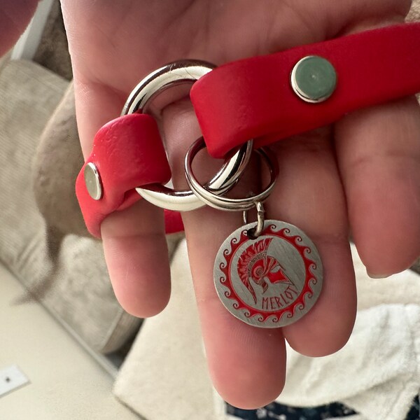 Greek Dog or Cat Tag Personalized, Spartan Helmet Pet Id Tag for Dog ...