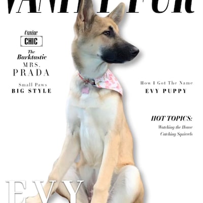 Custom Dog Portrait, Custom Dog Magazine Cover, Custom Pet Art, Custom ...