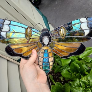 Luna Moth Stained Glass Template Stained Glass Template Luna Moth Moth ...