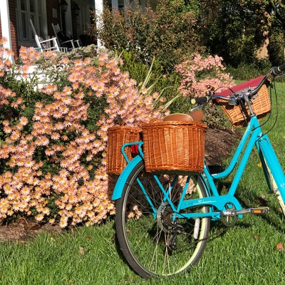 Hand-woven Wicker Bicycle Double Basket Lidded Wicker Bicycle - Etsy