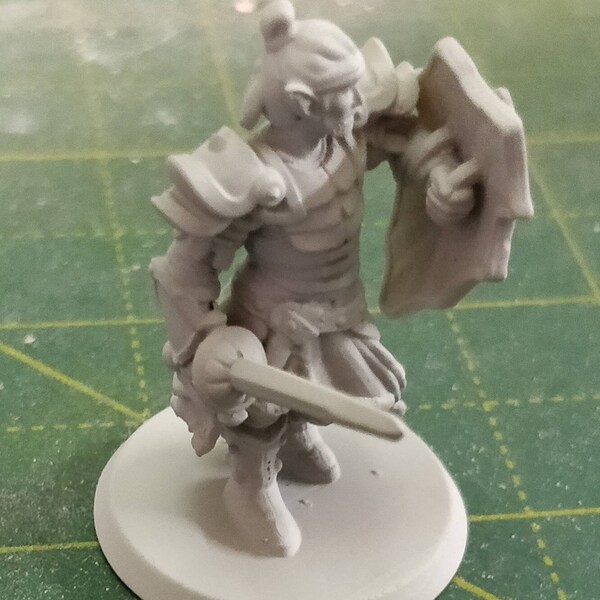 Owlin Owlrakokra Owlfolk Aarakokra Druid I Wizard I Sorcerer Tabletop ...