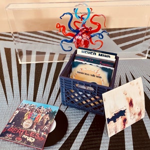 Tiny Record Albums for Tiny Milk Crates Desk/home Decor | Etsy