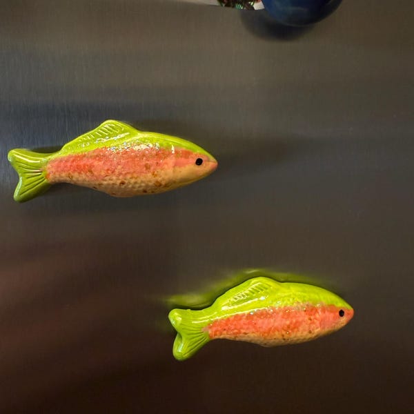 Trout Fish Magnet Set (2)| Fish Magnets | Fridge Magnets | Clay Magnets ...