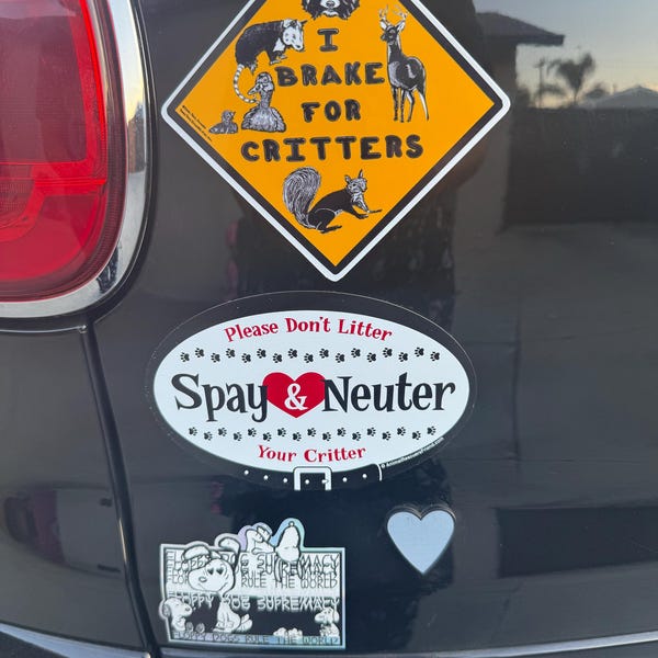 DECAL - I Love Feral Cats - 4x6 Oval - TNR - Trap Neuter Return - Cat ...