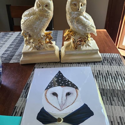 Wizard Barn Owl Animal Print Modern Kid Art Art Print Modern Nursery ...
