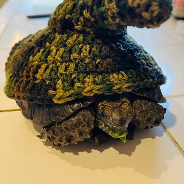 Crochet Military Tank Costume for Turtles/ Tortoises - Etsy