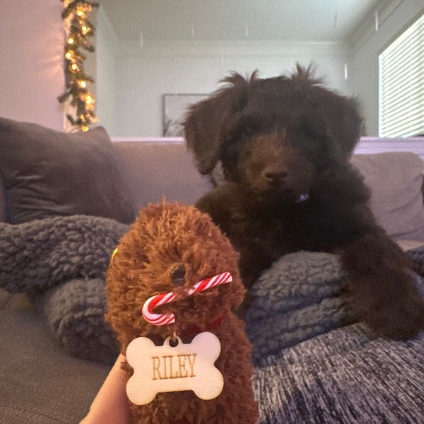Fetch Doodle Dog Ornament Personalized | Doodle Ornament | Dog ...