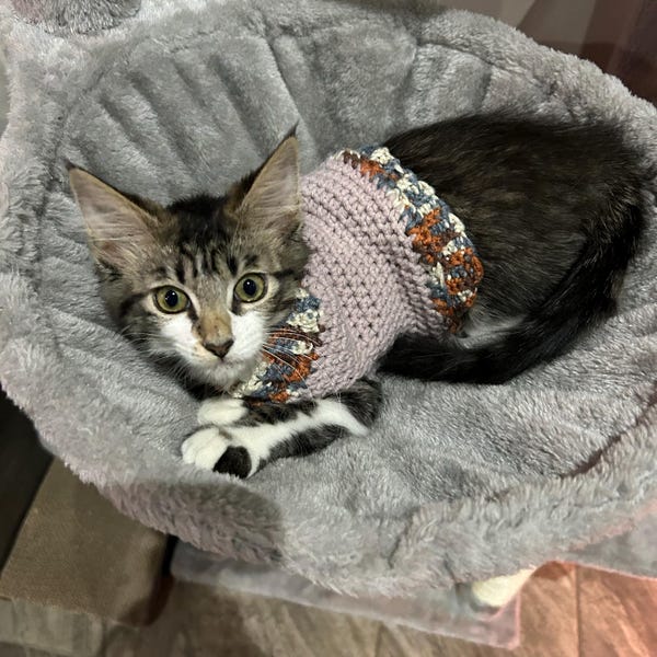 Cheeky Peach Tapestry Crochet Pattern Digital Download for DIY Home ...